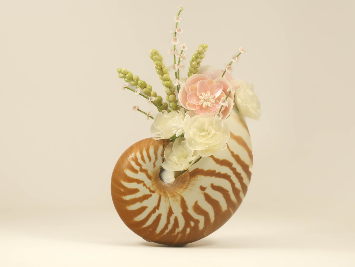 Coastal Keepsakes for the Home – Melissa Dudley Designs